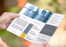 Workforce Development Staff – Workforce Development